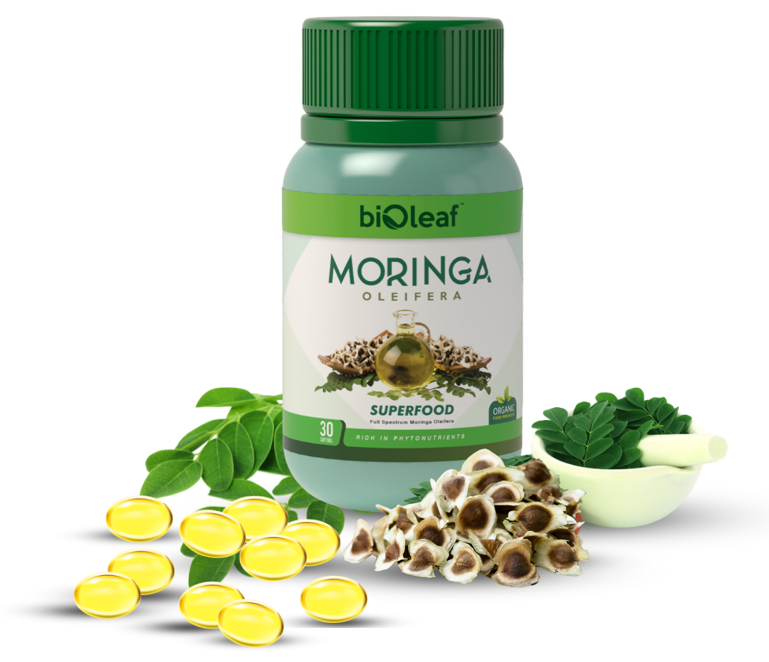 Moringa 2